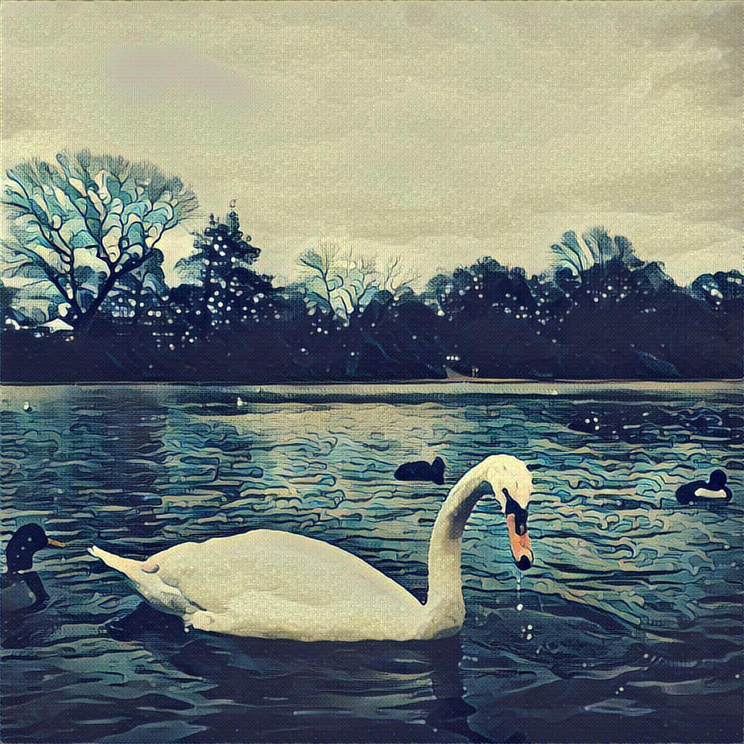 Amazing Photo Editing Apps For Social Media in 2020